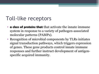 pathogenesis and pathophysiology of SLE | PPT