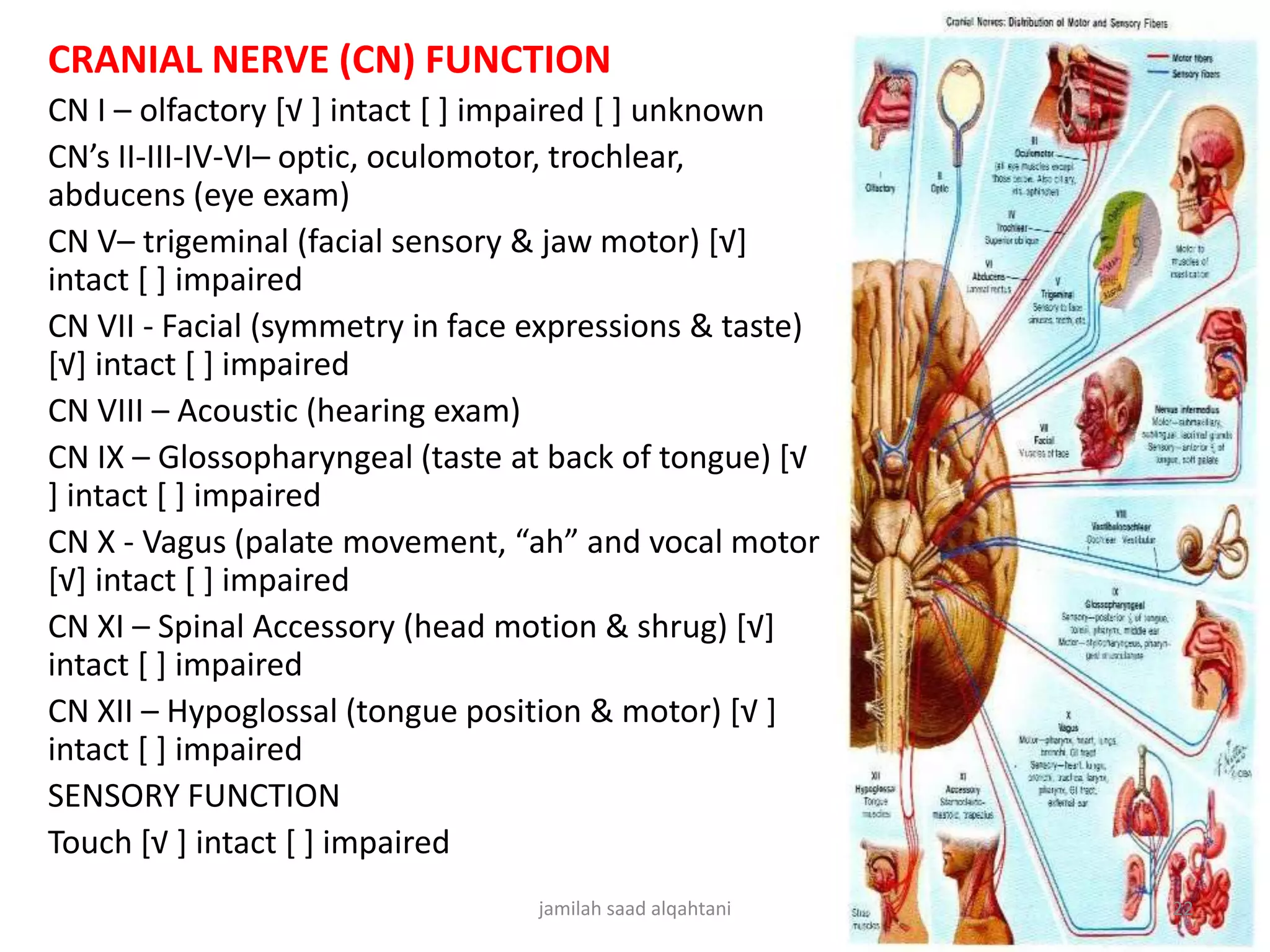 Systemic Lupus Erythematous (SLE) | PPTX