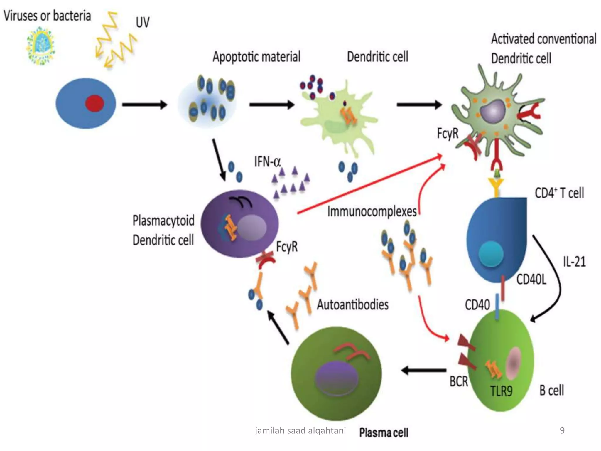 Systemic Lupus Erythematous (SLE) | PPTX