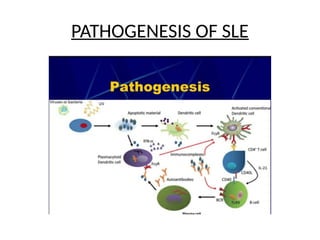 Case presenattaion on systemic lupus erythematous | PPTX | Blood ...