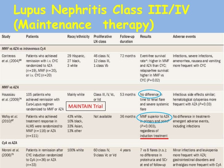 SLE: present guidelines and consensus