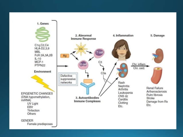 Sle and systemic sclerosis | PPT