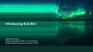 SLE BCI | PPTX