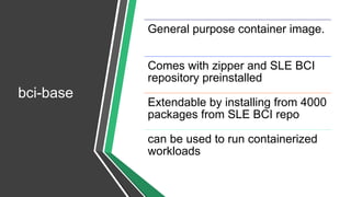 SLE BCI | PPTX