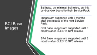 SLE BCI | PPTX
