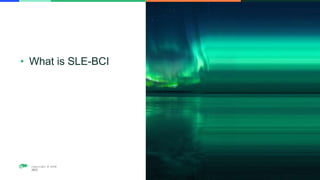 SLE BCI | PPTX