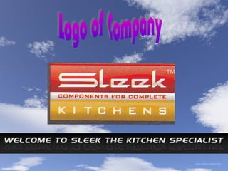 Sleek company presentation | PPT