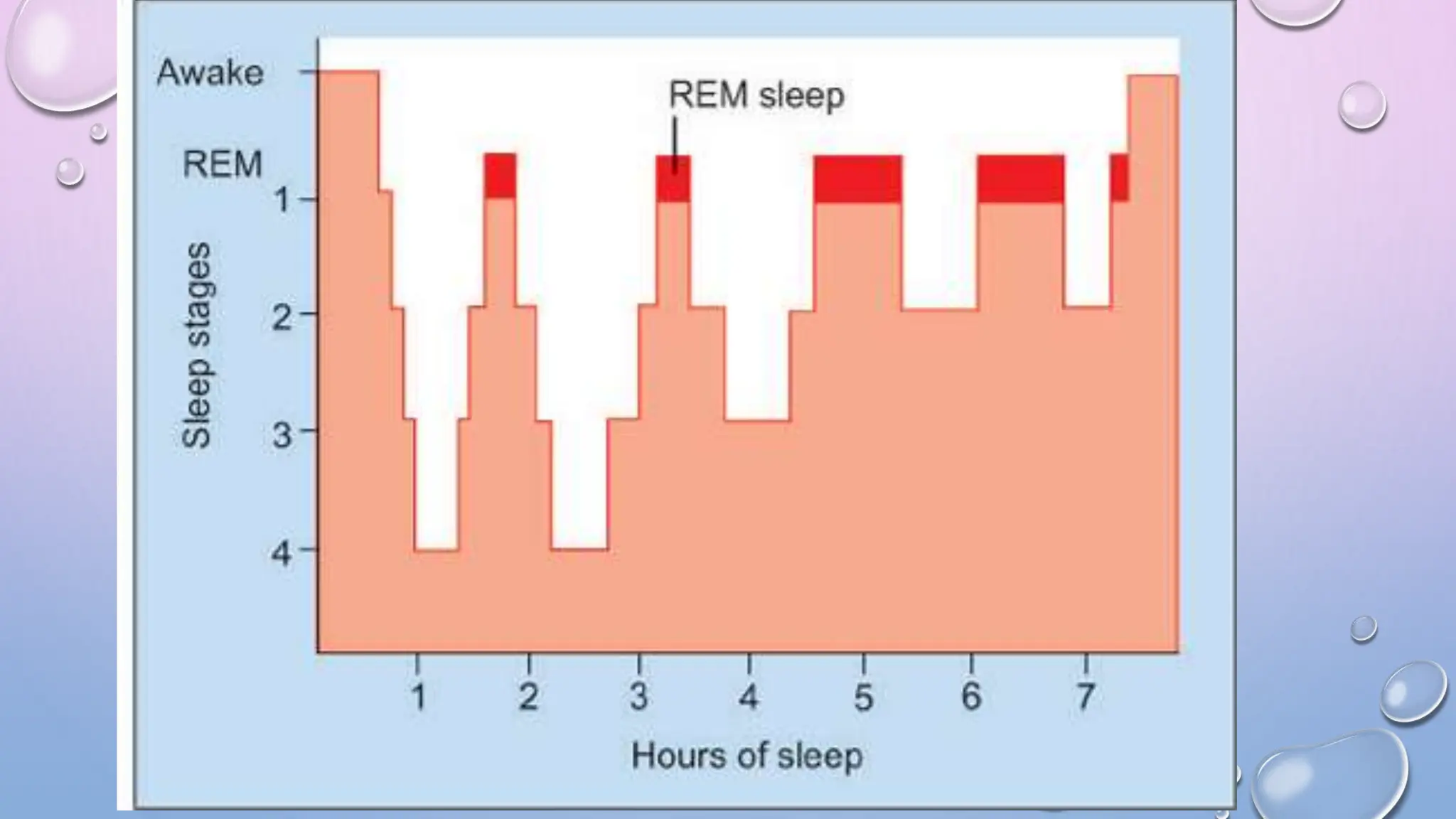 presentation on Sleep patterns of humans and their eeg pattern | PPTX