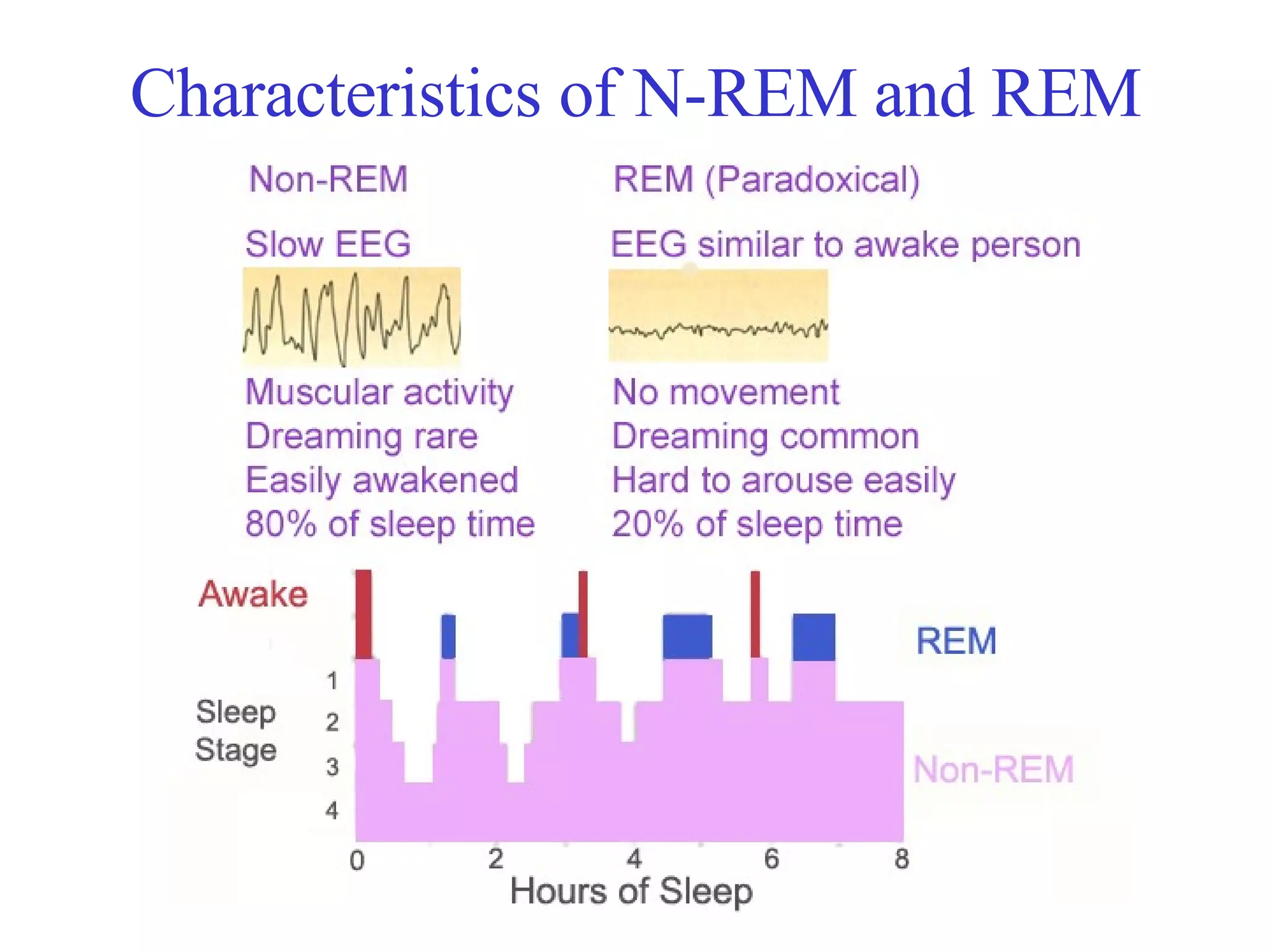 Circadian Rhythms: Sleep-waking cycle | PPT