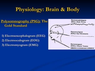 The Science Behind Sleep | PPT