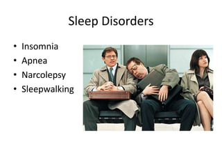 Sleep | PPT