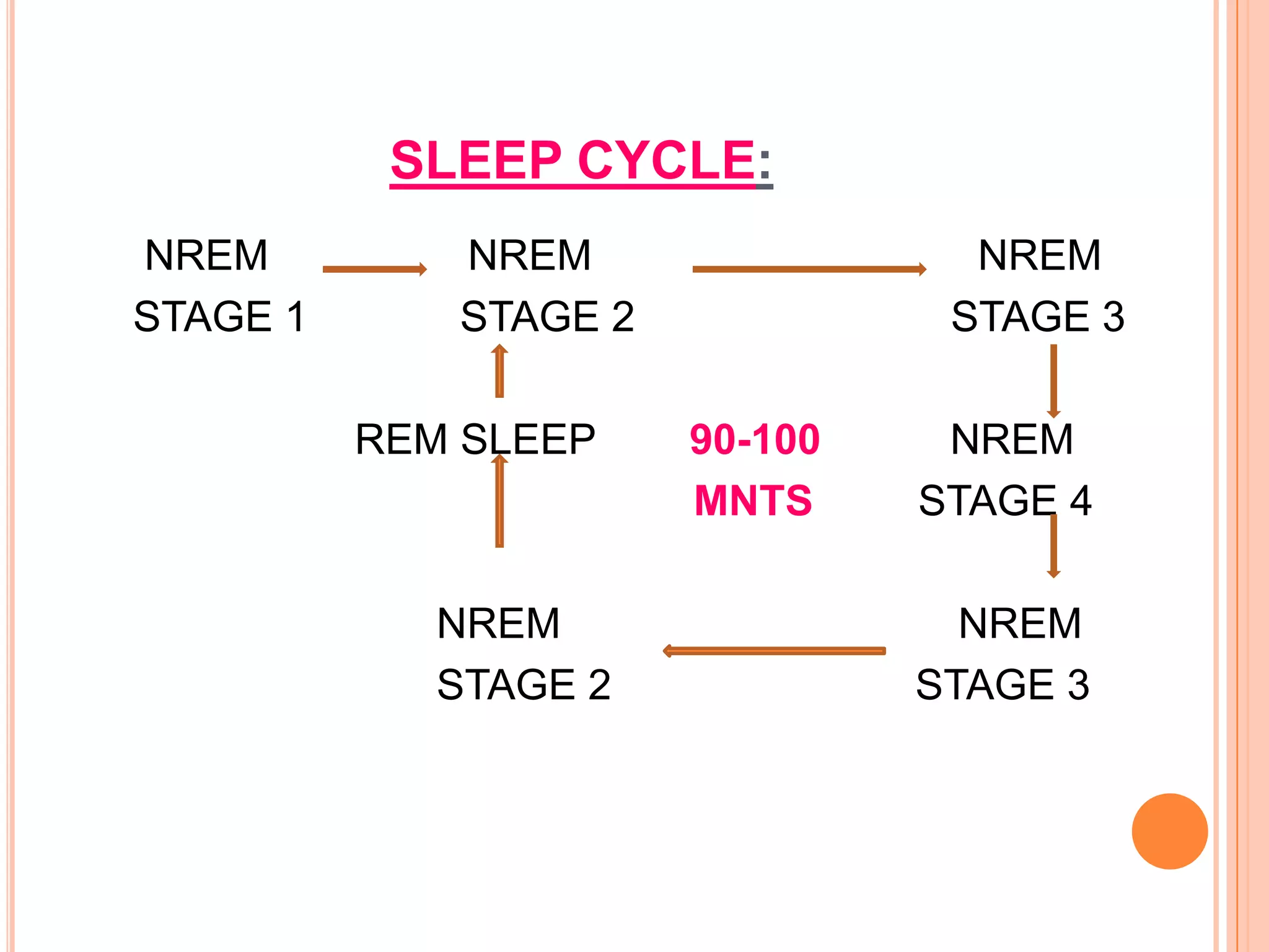 Sleep..ppt