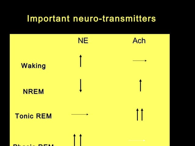 Sleep Study Interpretation | PPT