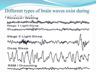 Sleep and dream | PPTX
