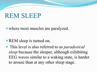 Sleep and dream | PPTX