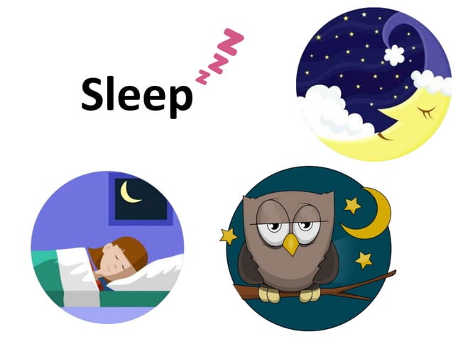 Sleep | PPTX | Sleep Disorders | Diseases and Conditions