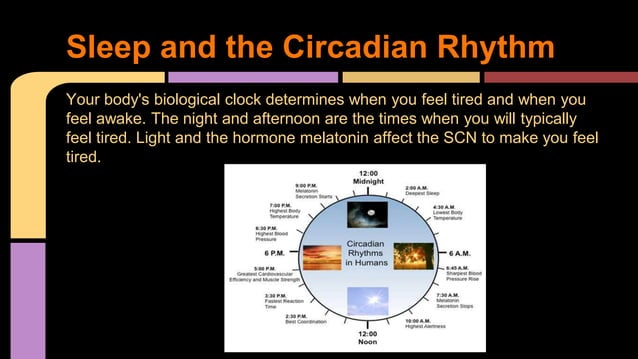 Sleep Presentation.pptx