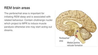 Neurology of Sleep.pdf........................... | PDF