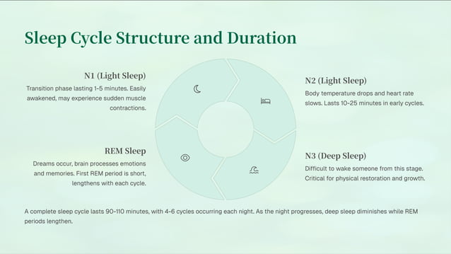 Main point of the sleep presentation Sleep.ppt