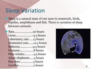 Sleep and Dreams | ODP