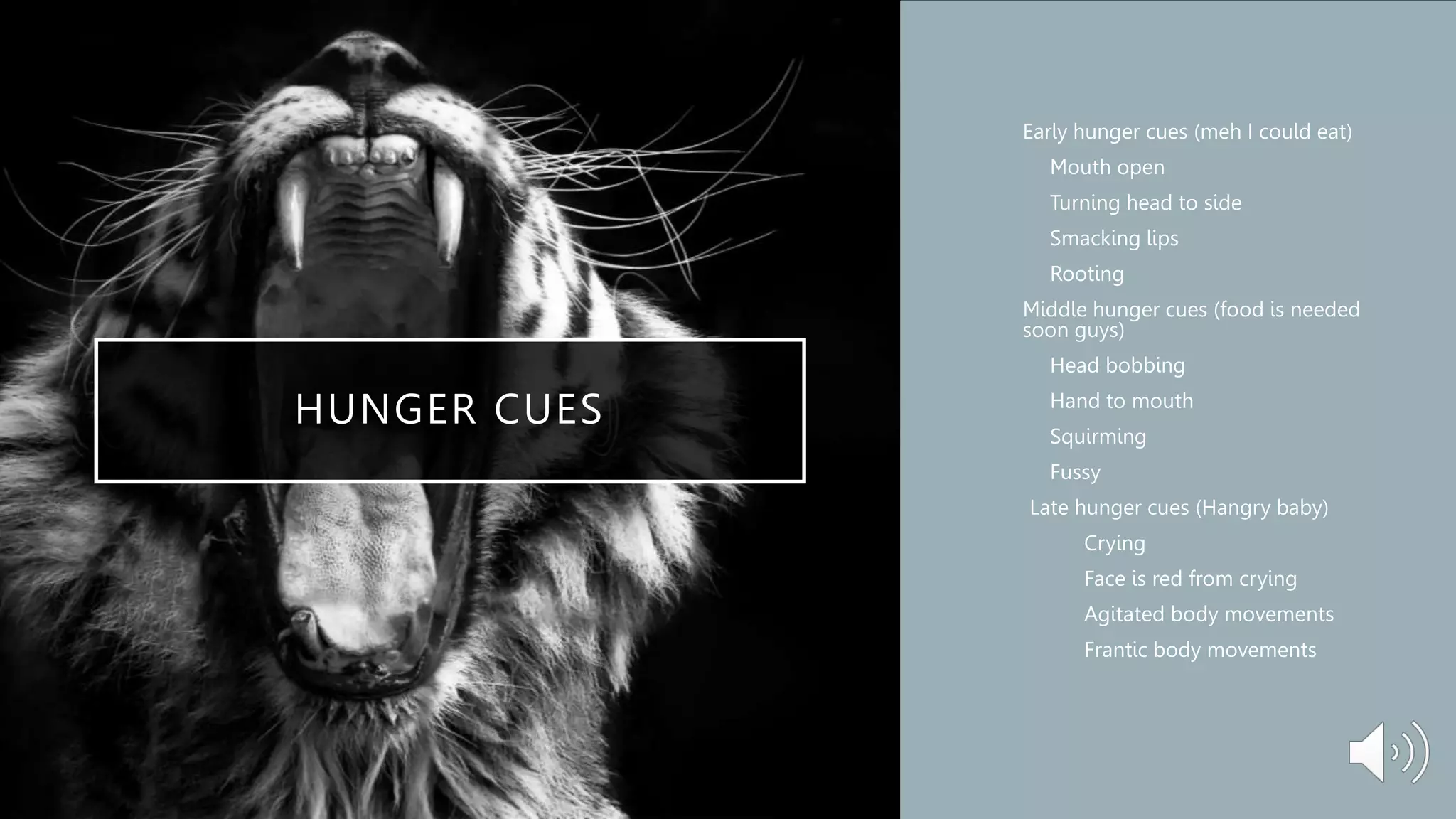 Sleep-Hunger infants.pptx