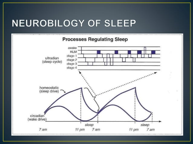 Sleep wake disorders | PPTX