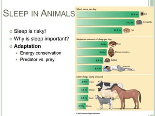 Sleep anatomy etc. | PPTX