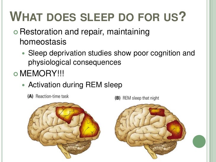 Sleep anatomy etc.
