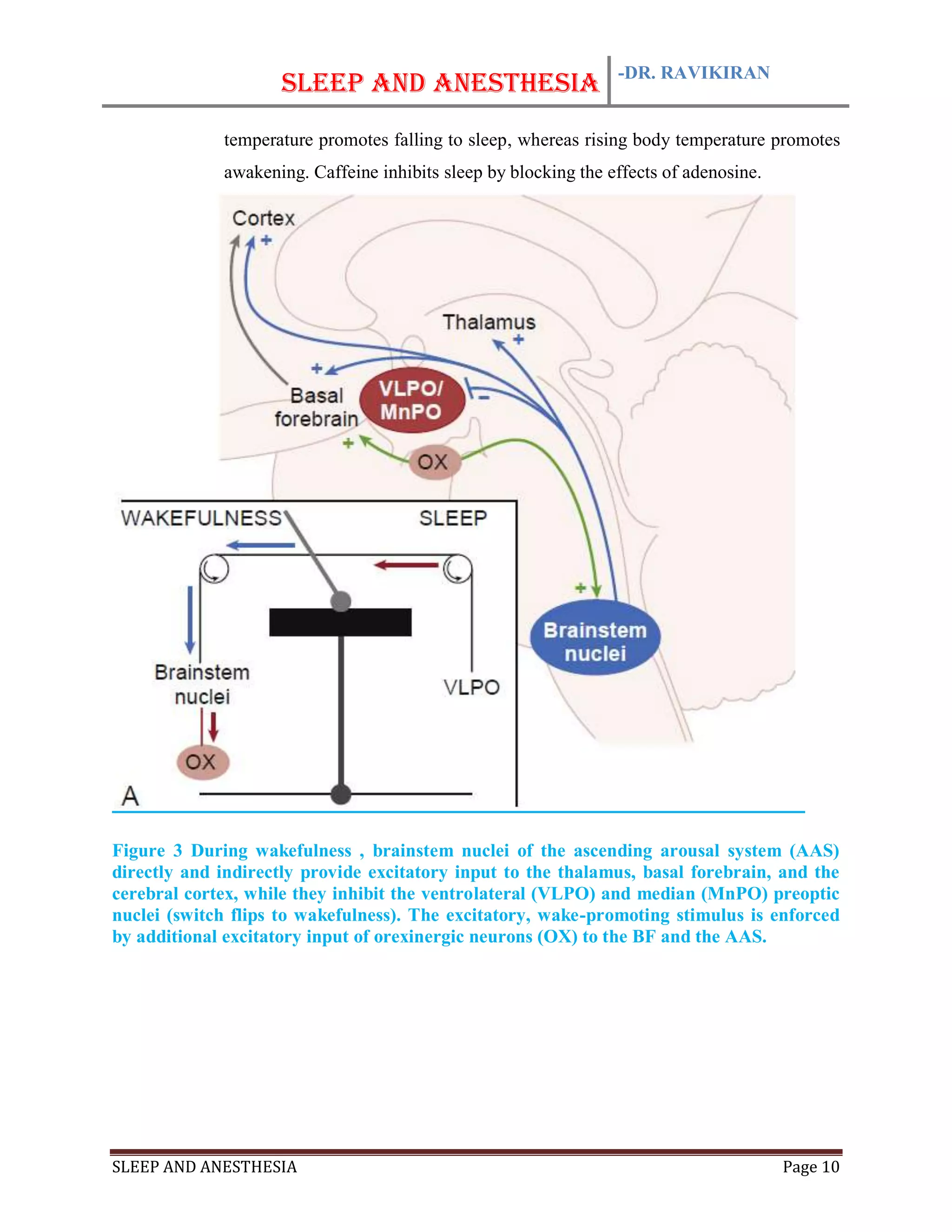 Sleep and anesthesia | PDF