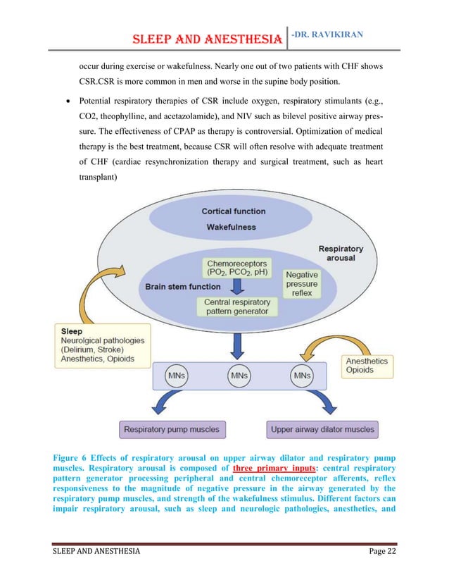 Sleep and anesthesia | PDF