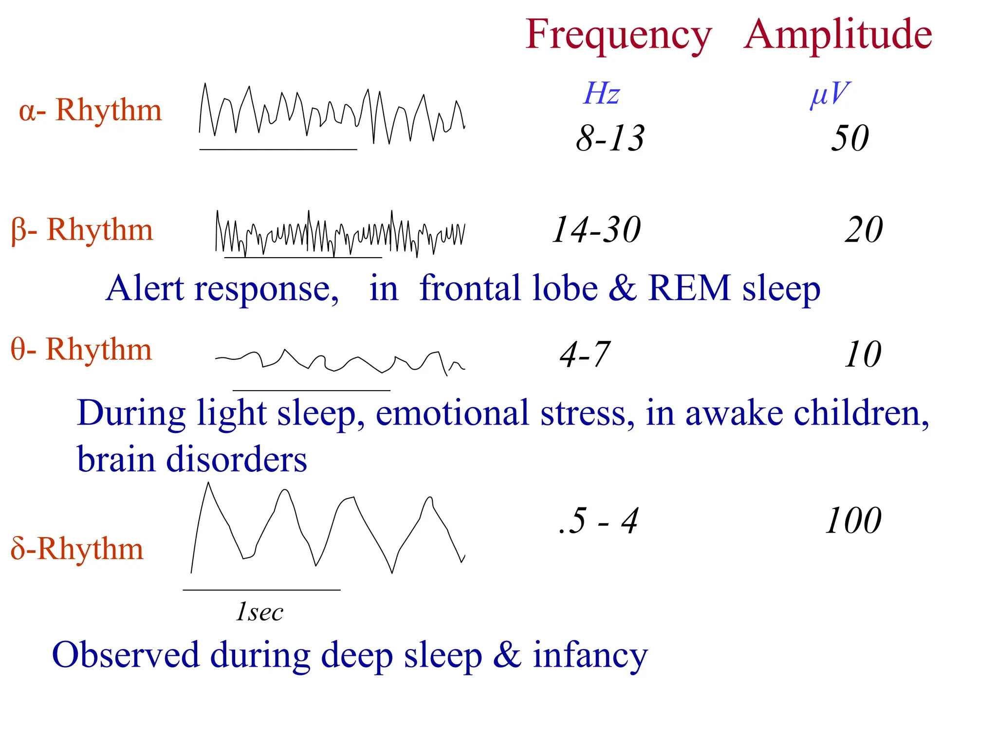Sleep physiology and EEG waves in humans PPT | PPTX