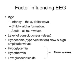 Sleep physiology and EEG waves in humans PPT | PPTX