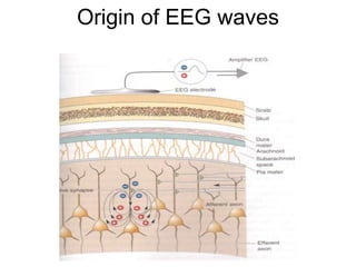 Sleep physiology and EEG waves in humans PPT | PPTX
