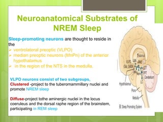 Sleep and its disorders | PPTX
