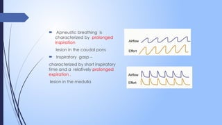 SLEEP APNEA SYNDROME by Dr. Anuhya krishna | PPTX