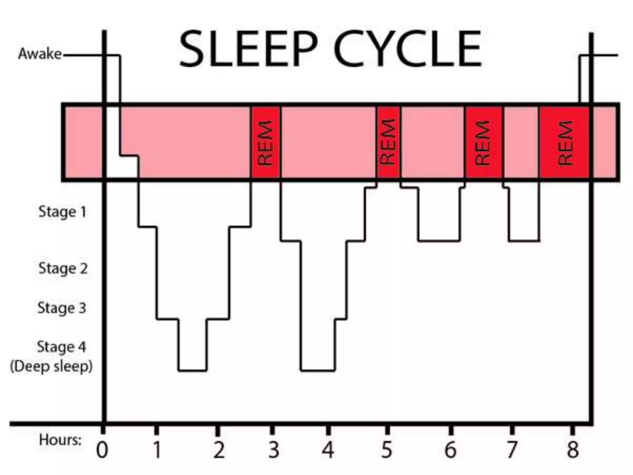 Sleep cycle | PPTX | Sleep Disorders | Diseases and Conditions