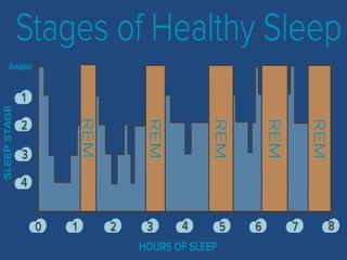 Sleep cycle | PPT