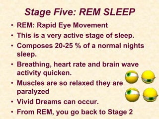 Sleep cycle | PPTX