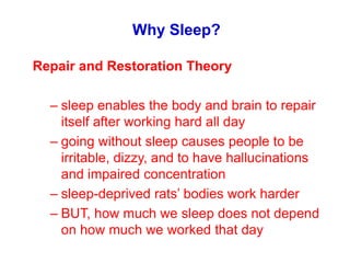 Sleep cycle | PPTX