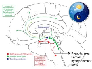 Sleep disorders | PPTX
