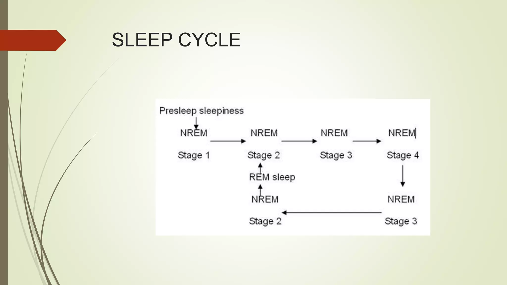 Sleep pattern and its disturbances | PPTX