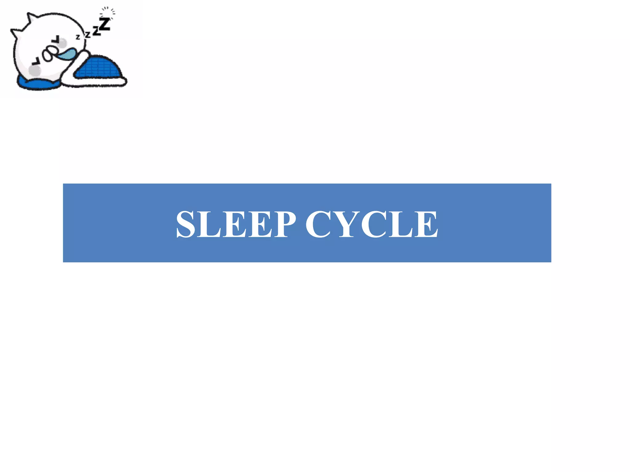 Physiology of Sleep | PDF