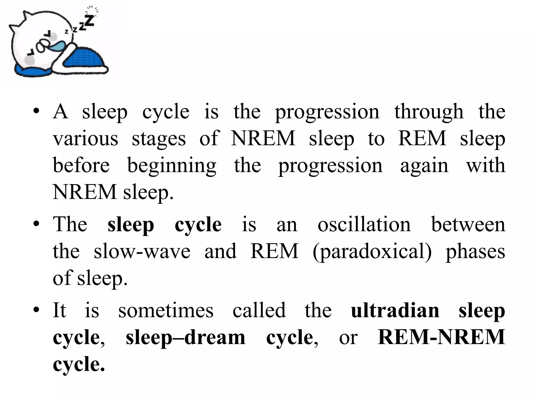 Physiology of Sleep | PDF