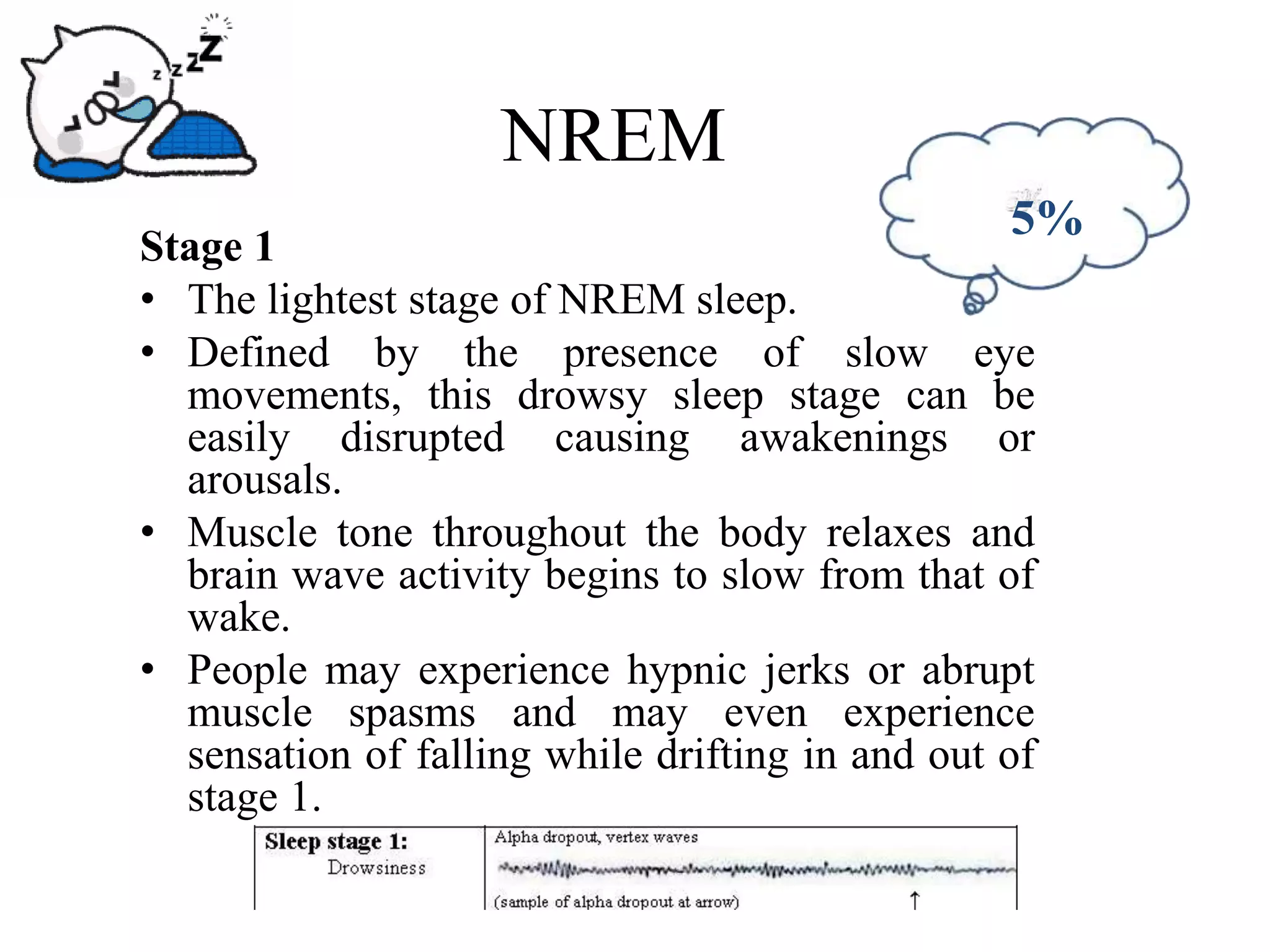 Physiology of Sleep | PDF
