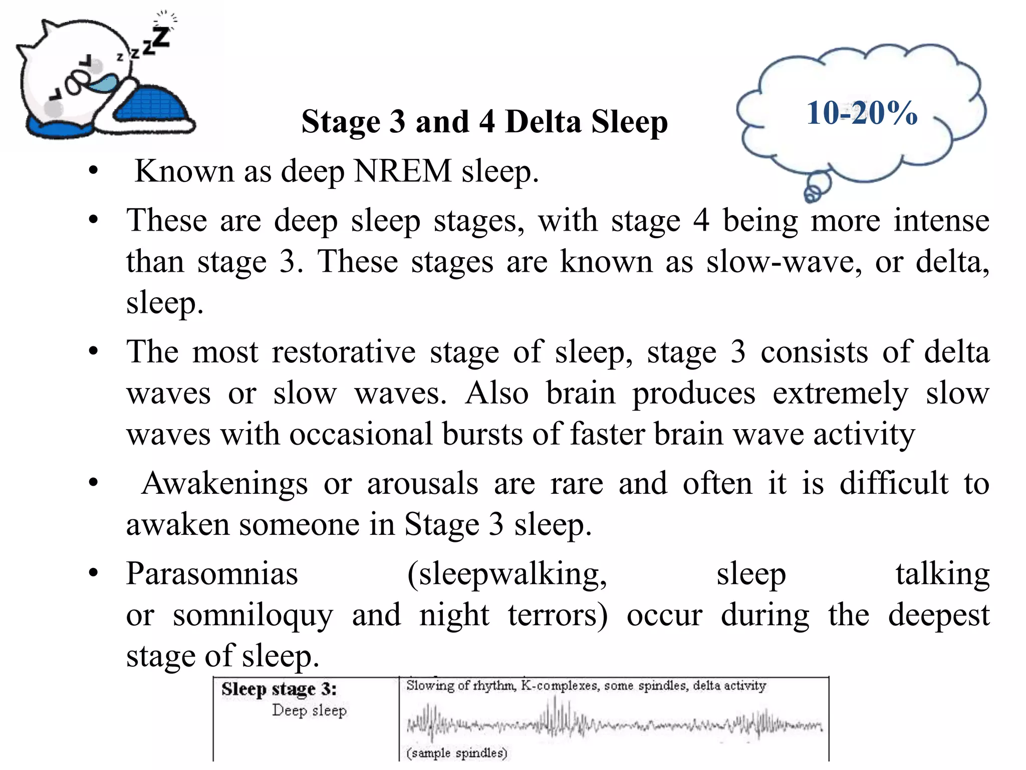 Physiology of Sleep | PDF