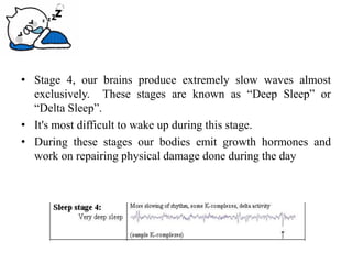 Physiology of Sleep | PDF