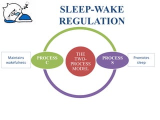Physiology of Sleep | PDF
