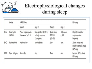 Physiology of Sleep | PDF | Sleep Disorders | Diseases and Conditions