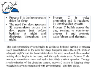 Physiology of Sleep | PDF