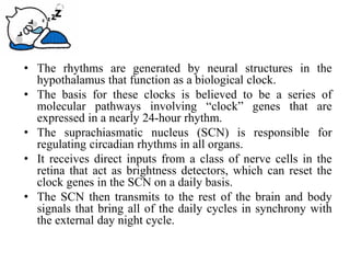 Physiology of Sleep | PDF